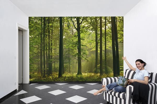 Autumn Forest Wall Mural
