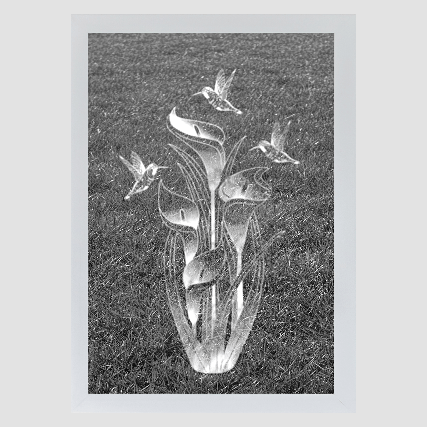 Flower Window Decal | Frosted Glass Decals | Lily Etched Glass Decal