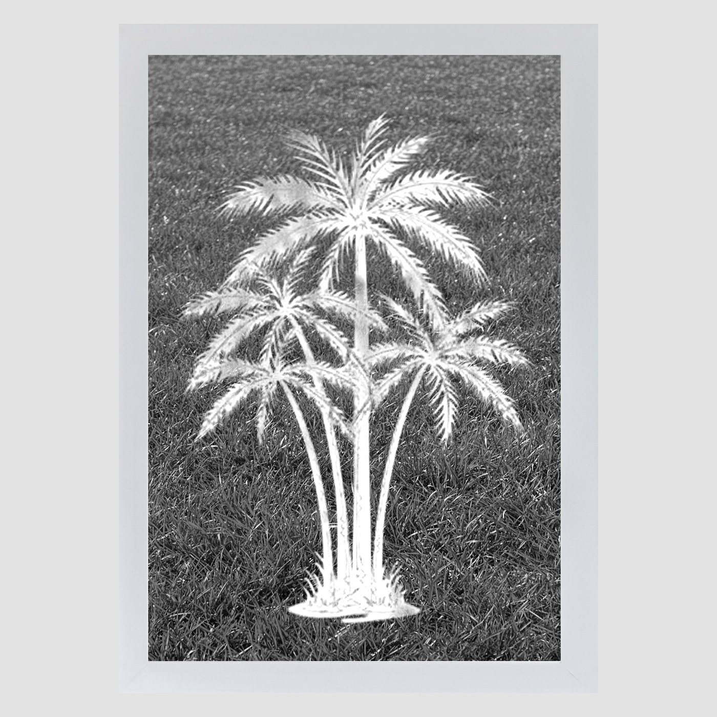 Oval Palm Tree Center Reverse | Etched Glass Decal | Static Cling
