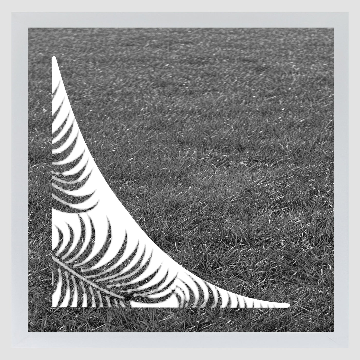 Palm Corner Etched Glass Decals | Window Film World.com